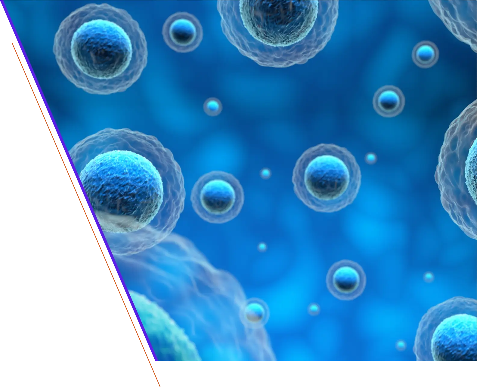 Overcoming the Bottleneck in Cell and Gene Therapy Manufacturing - Ascential Technologies